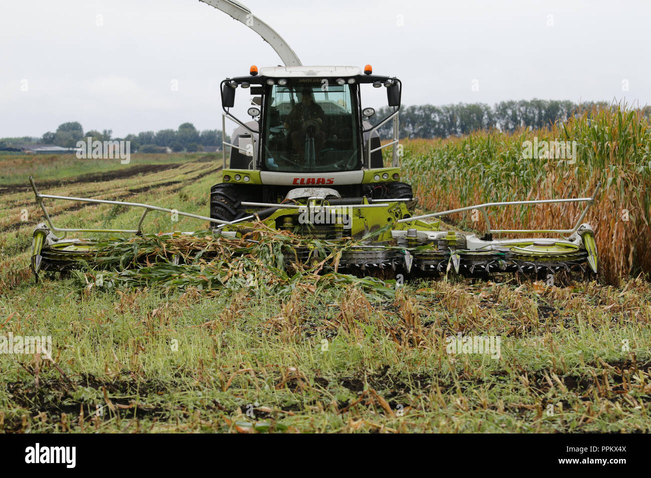 Biomass fuel plants hi-res stock photography and images - Alamy