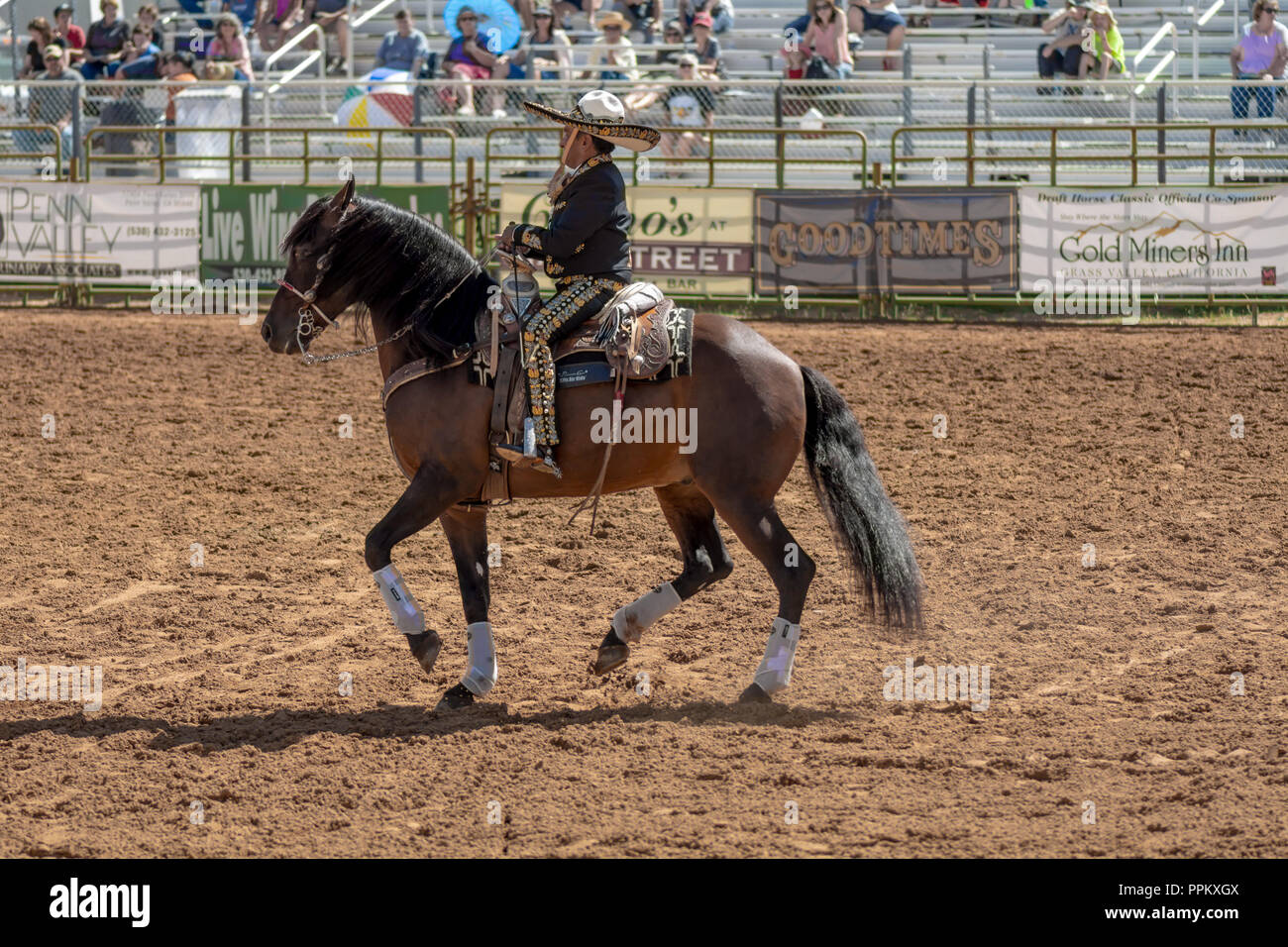 Grass Valley, California, USA. 22 September 2018. Draft Horse Classic ...