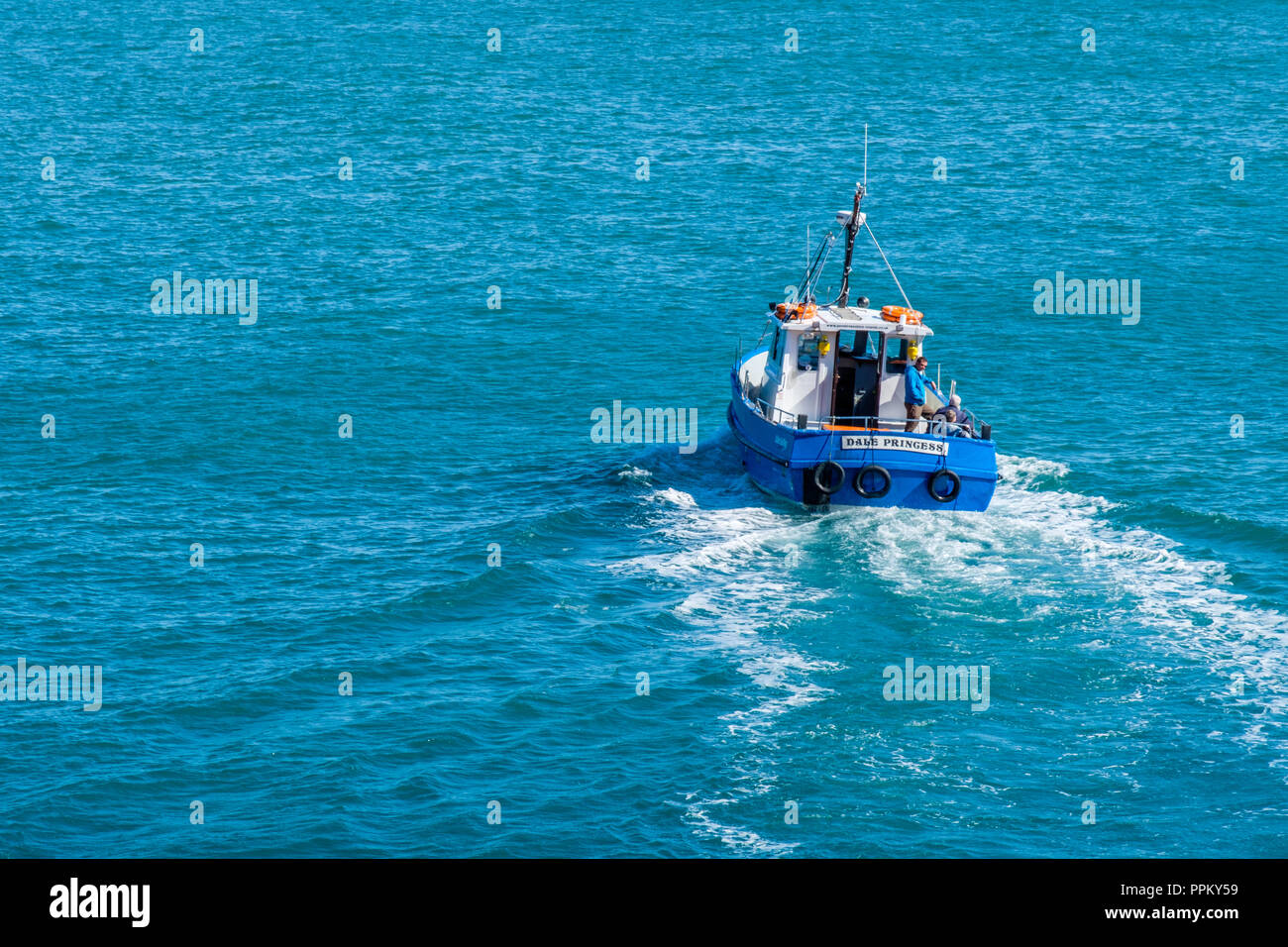 The Dale Princess heading back towards the mainland from Skomer Island ...