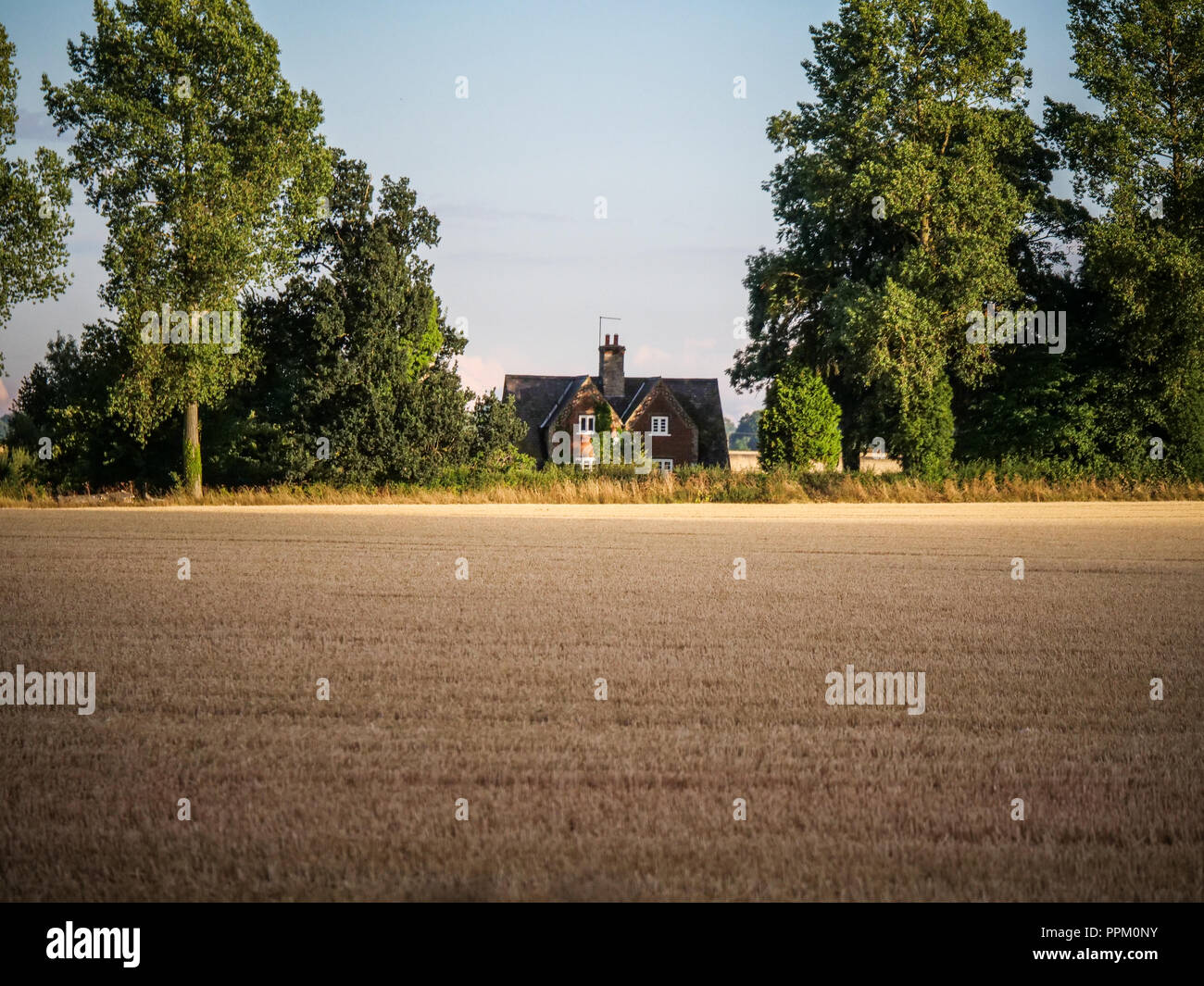 Corn Field With Houses High Resolution Stock Photography and Images - Alamy