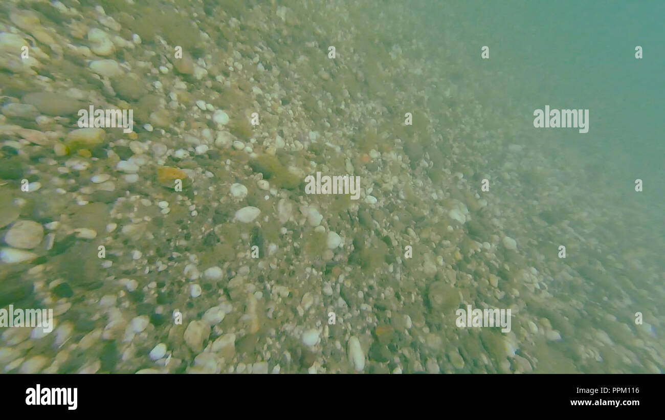 Photo underwater bottom of the Black sea with stones and pebbles in ...