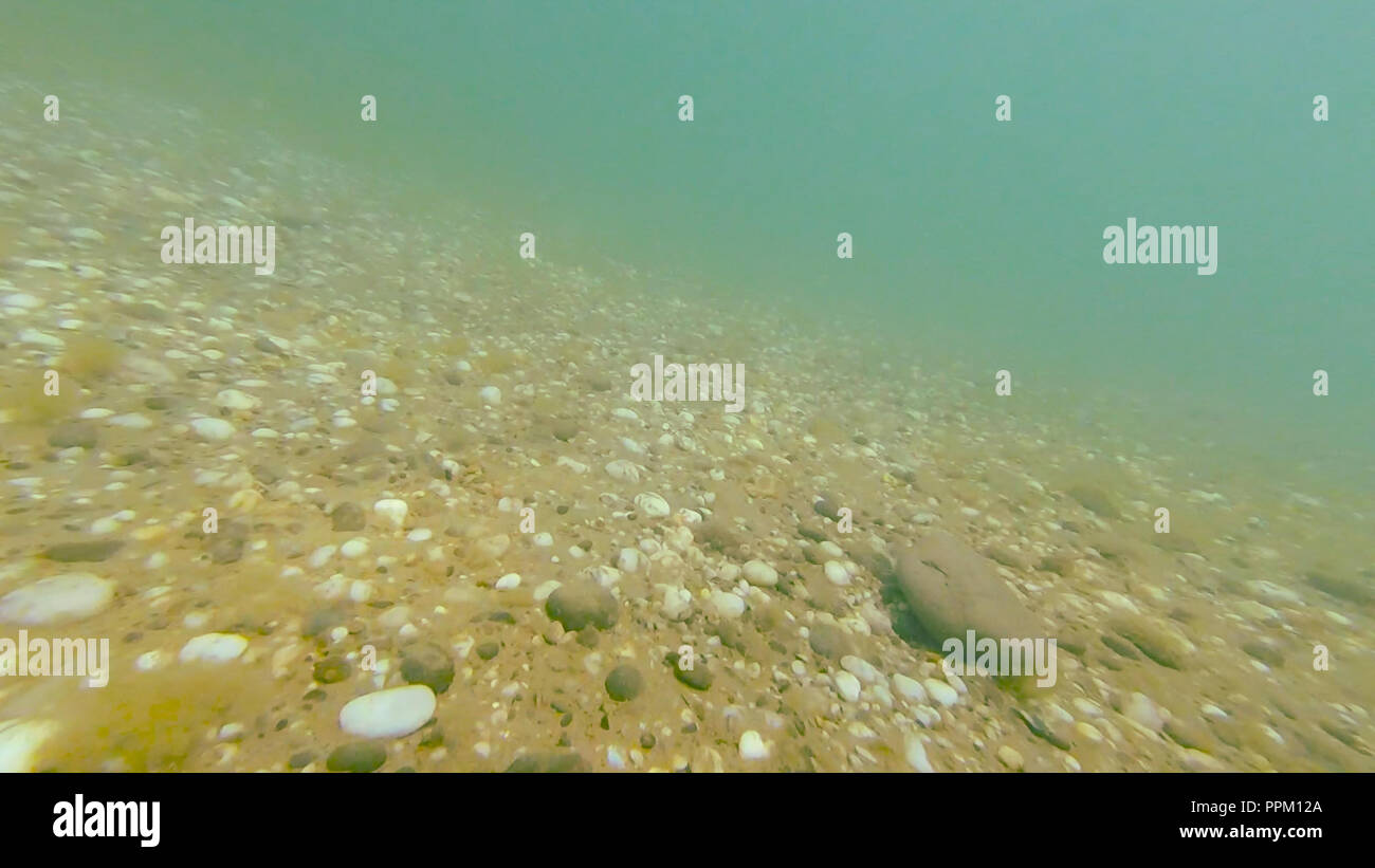 Photo underwater bottom of the Black sea with stones and pebbles in ...