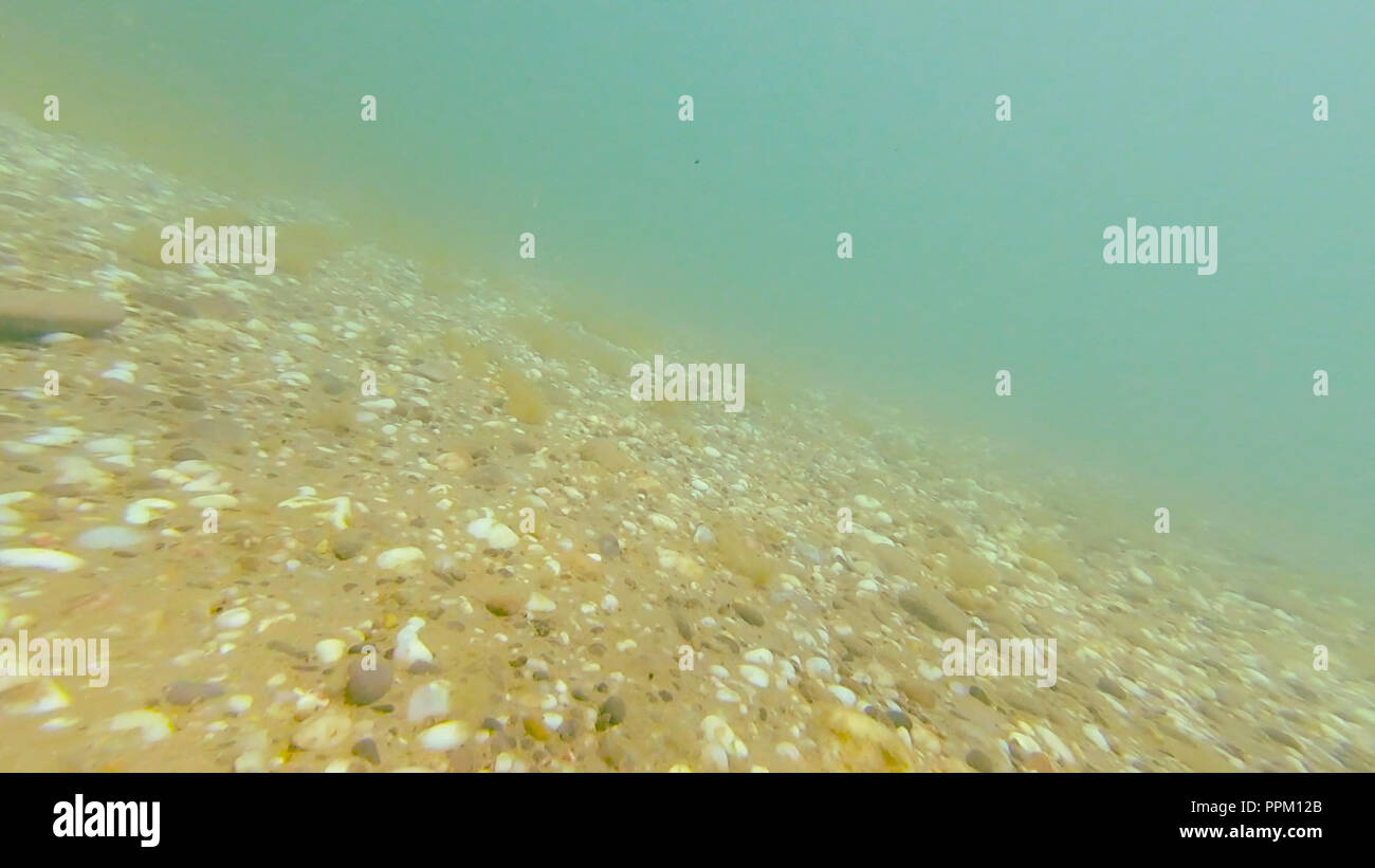 Photo underwater bottom of the Black sea with stones and pebbles in ...