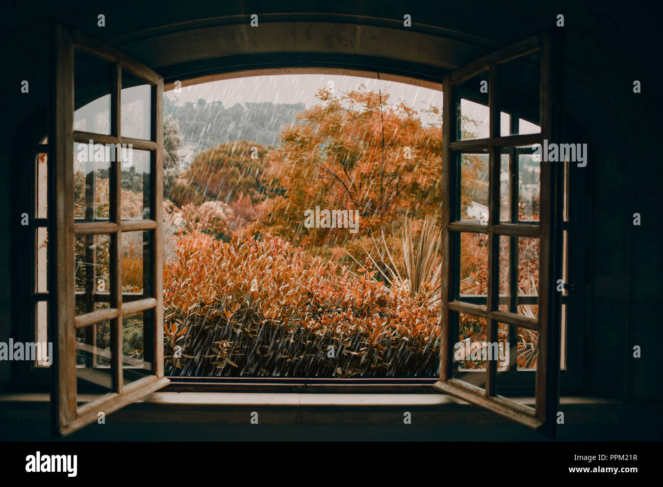 Rain window falling hi-res stock photography and images - Alamy