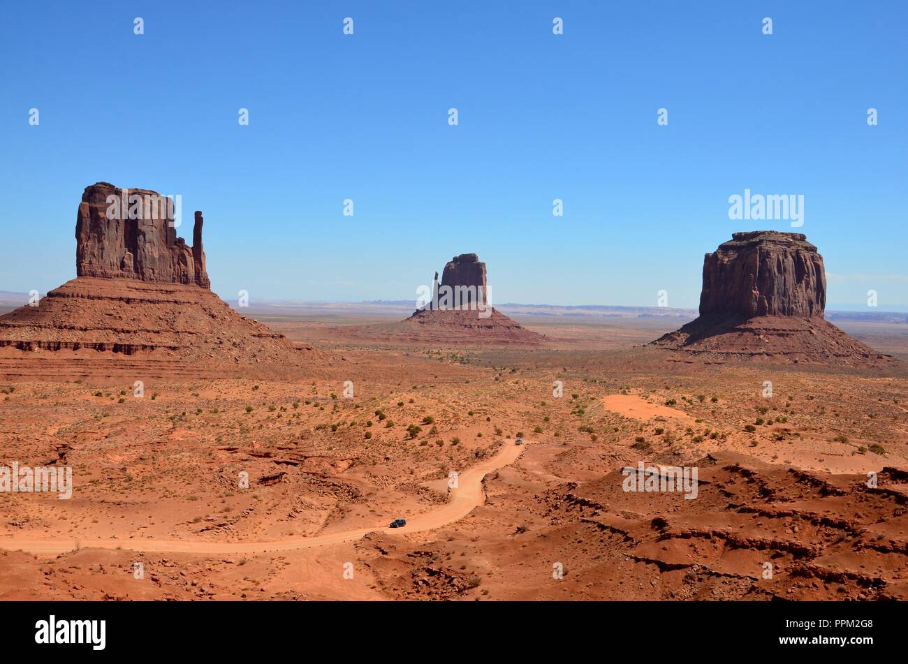 Yucca Vacation High Resolution Stock Photography and Images - Alamy