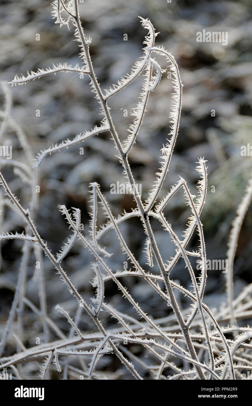 Freeziing hi-res stock photography and images - Alamy