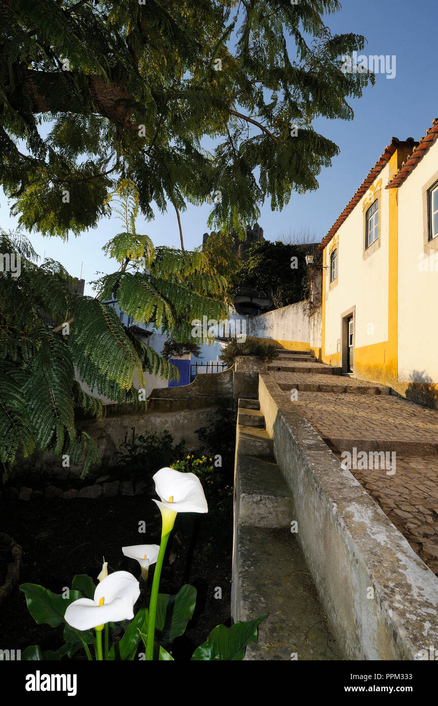 Óbidos, one of the most picturesque medieval villages in Portugal ...