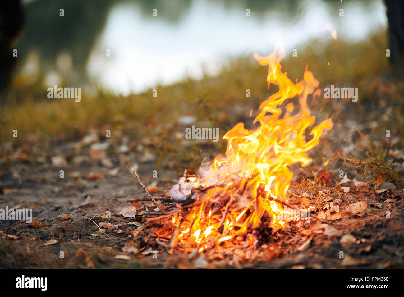 fire on the river Bank, autumn forest at sunset, beautiful nature and ...