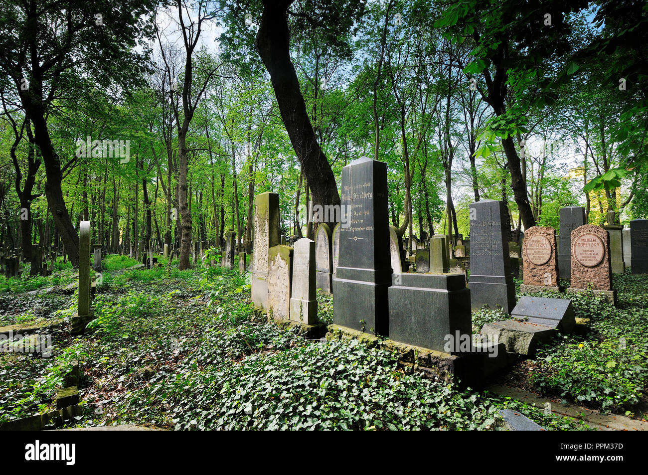 Berlin cemetery hi-res stock photography and images - Alamy