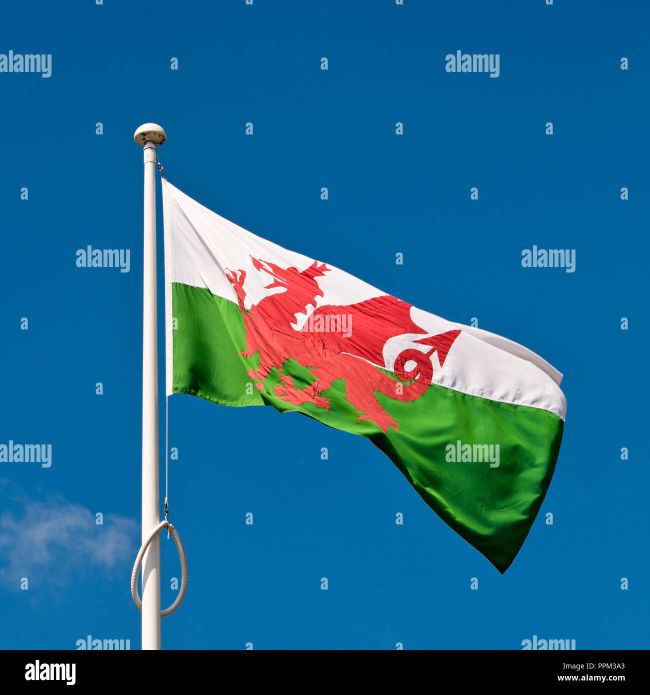 Welsh dragon historical hi-res stock photography and images - Alamy