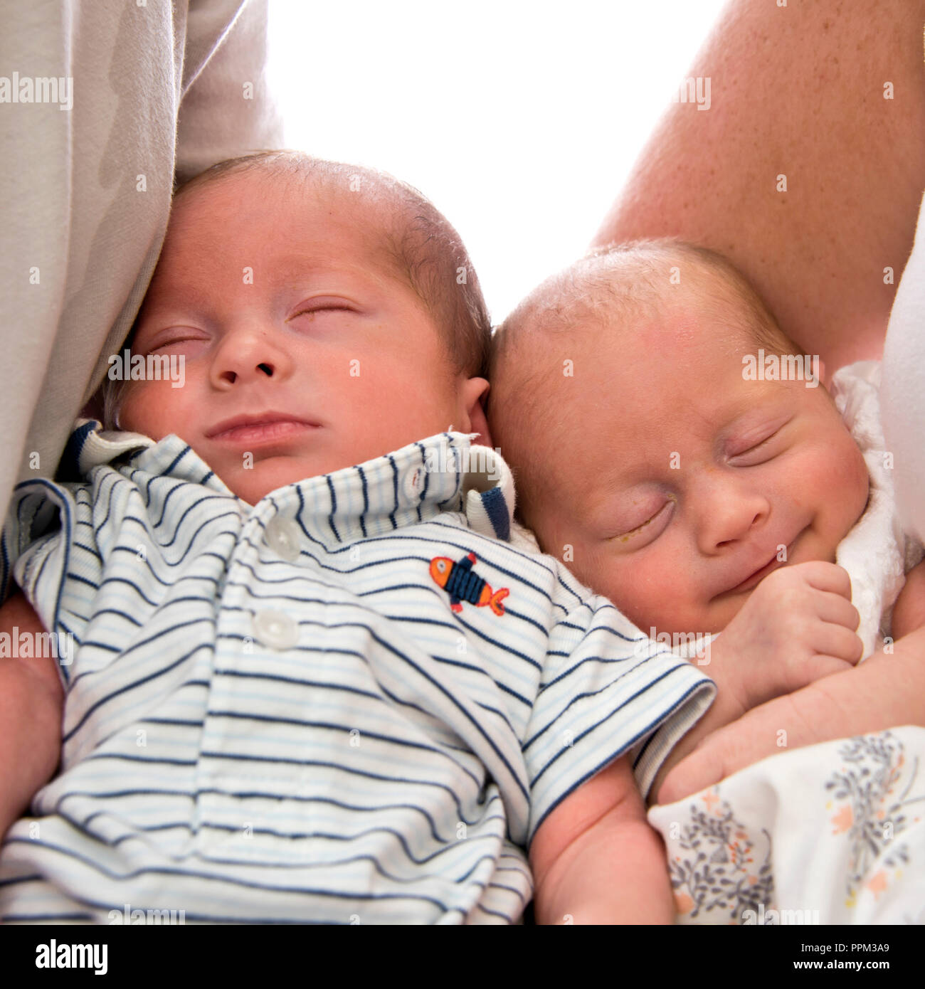 Square portrait of premature twin newborn babies Stock Photo - Alamy