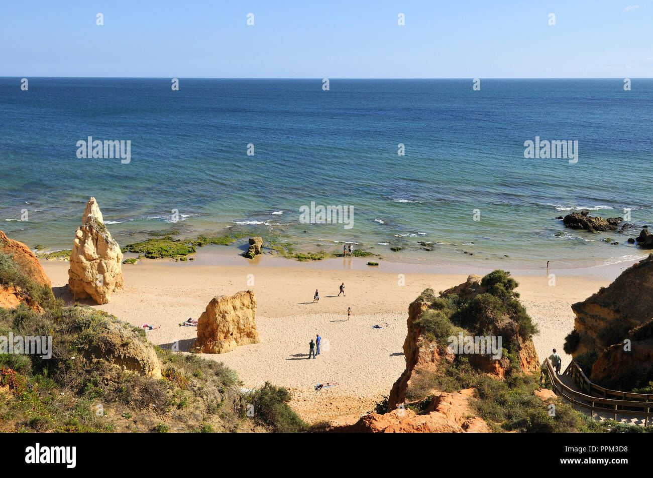 Mauricio rocha hi-res stock photography and images - Alamy