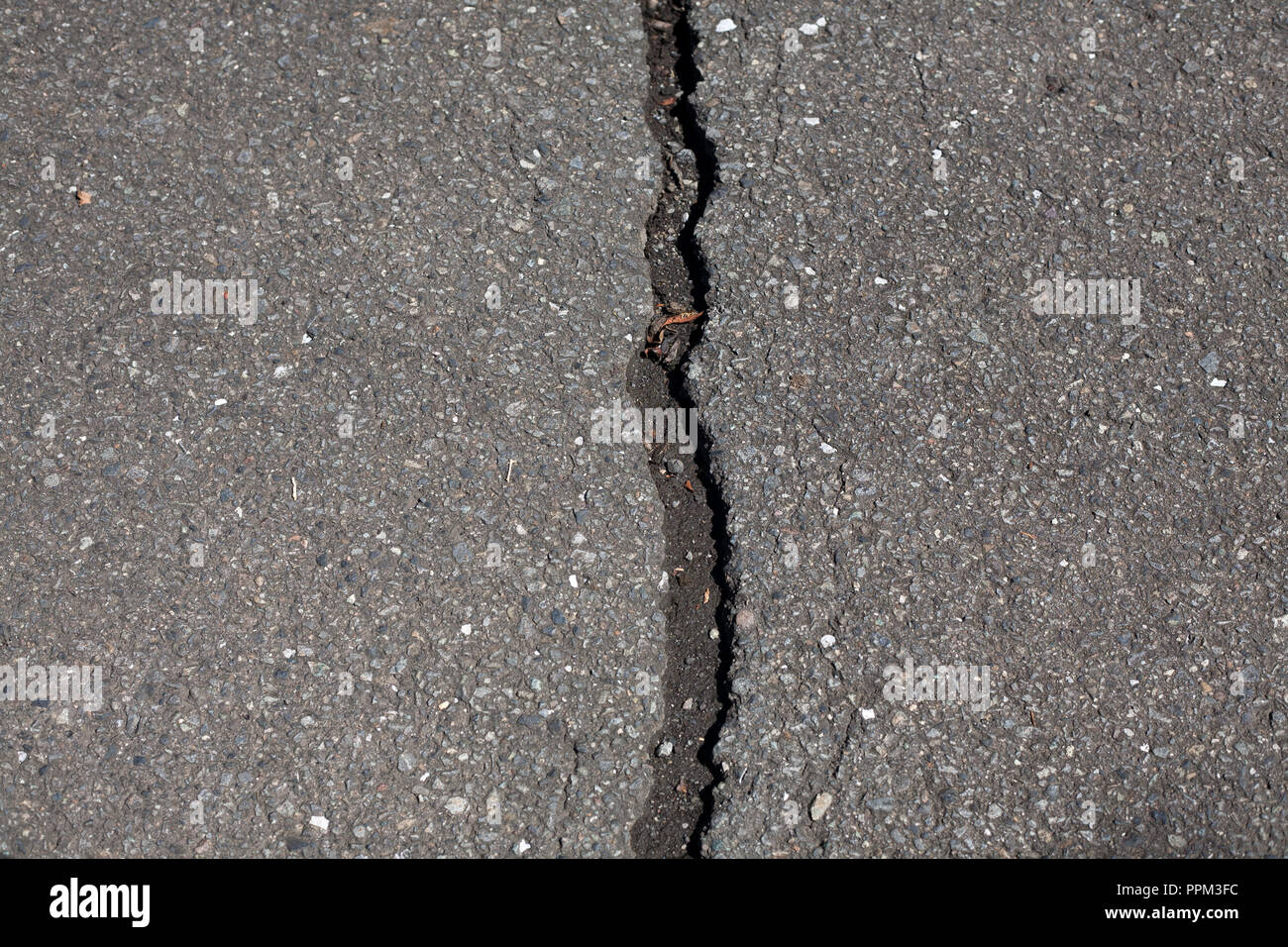 Crack in the pavement hi-res stock photography and images - Alamy