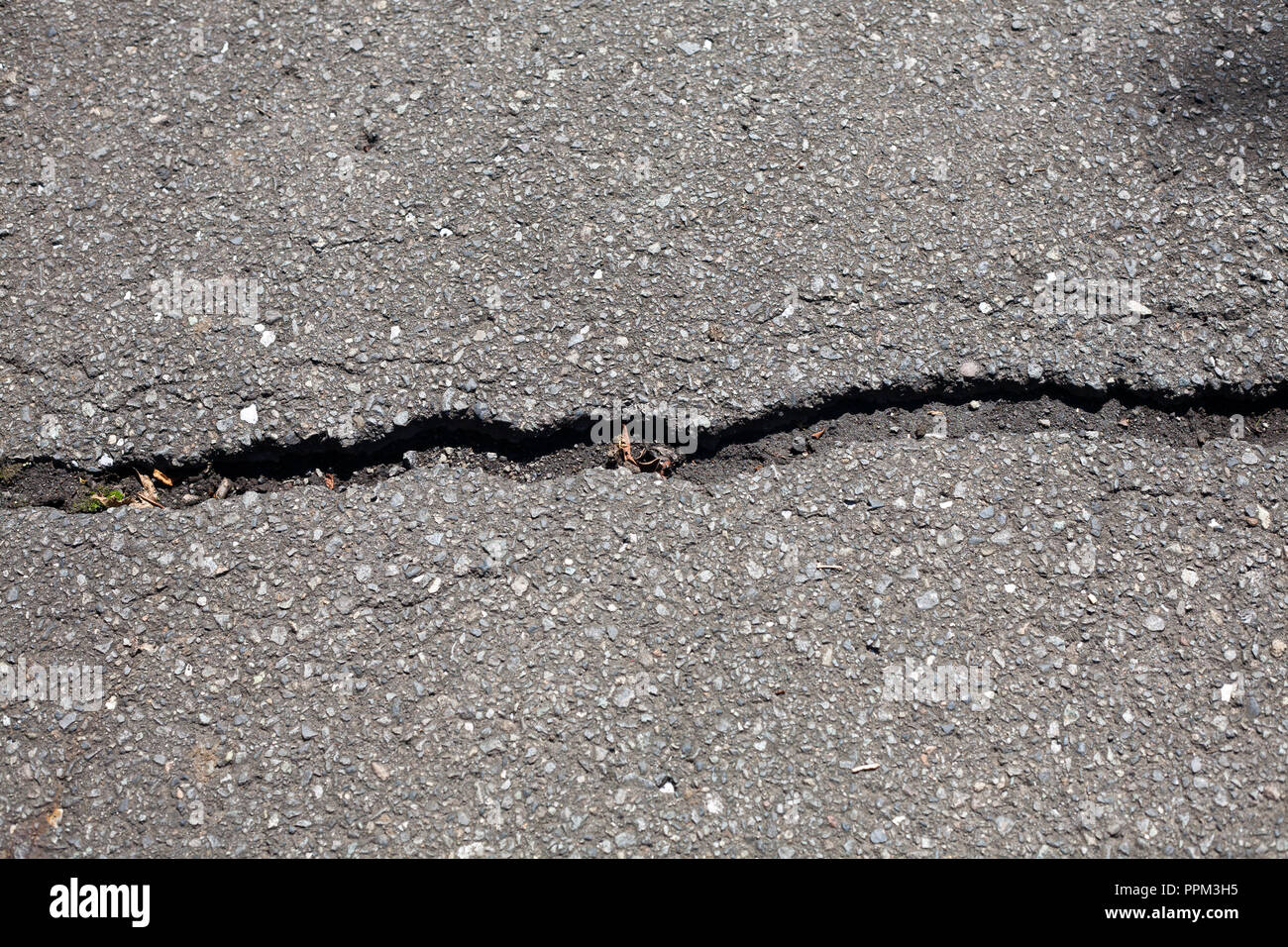 Crack in the pavement hi-res stock photography and images - Alamy