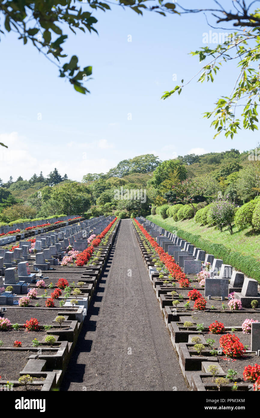 Landscape Japanese modern well maintained grave site with red and pink ...