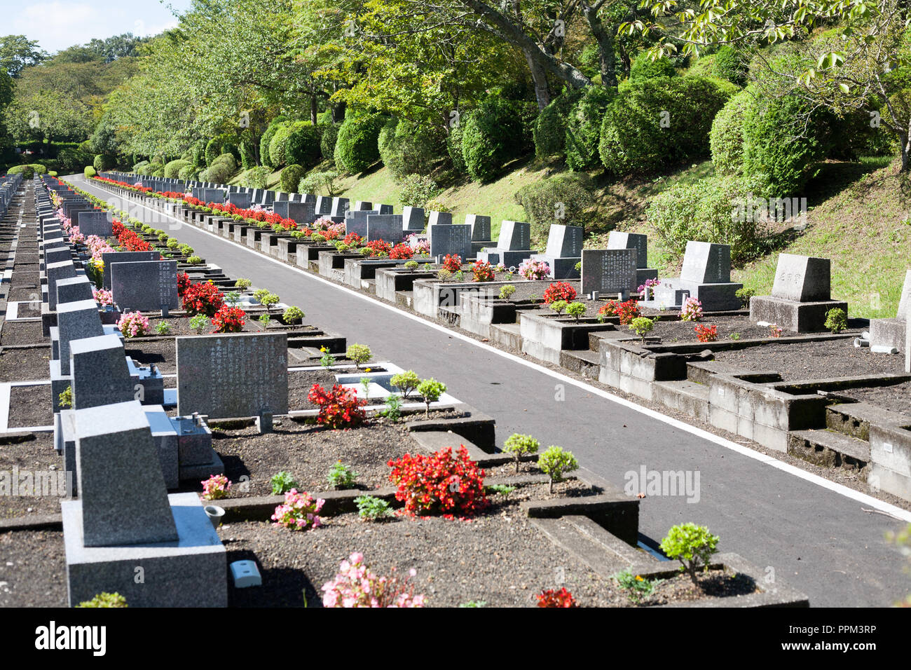 Landscape Japanese modern well maintained grave site with red and pink ...