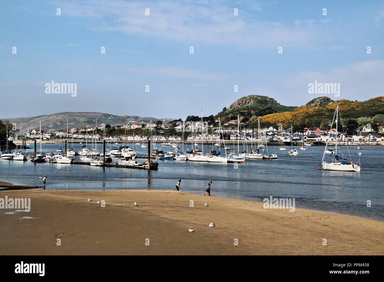 Conwy harbour view hi-res stock photography and images - Alamy
