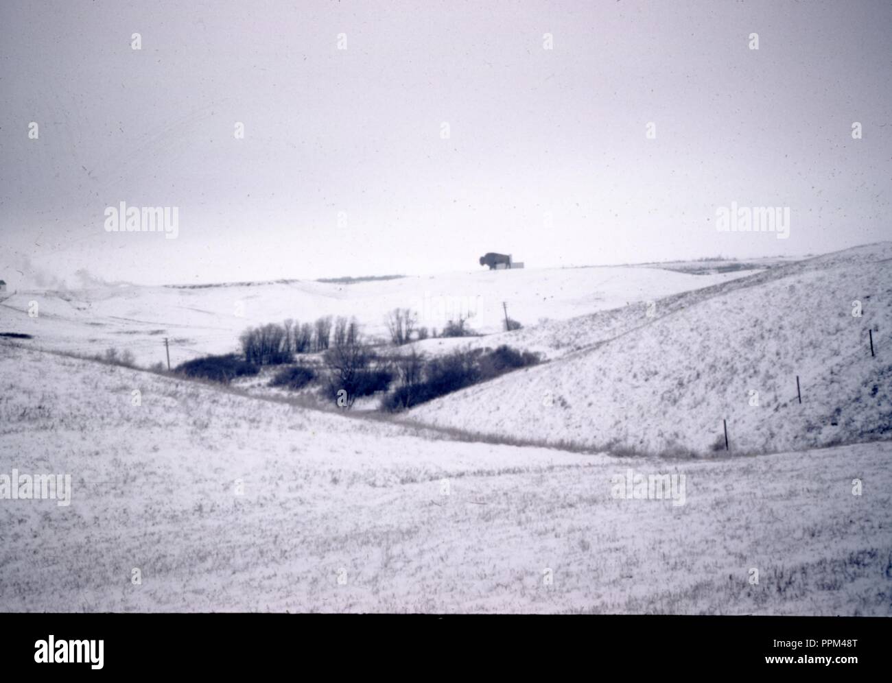 Vintage archival photograph taken in 1965 Stock Photo - Alamy