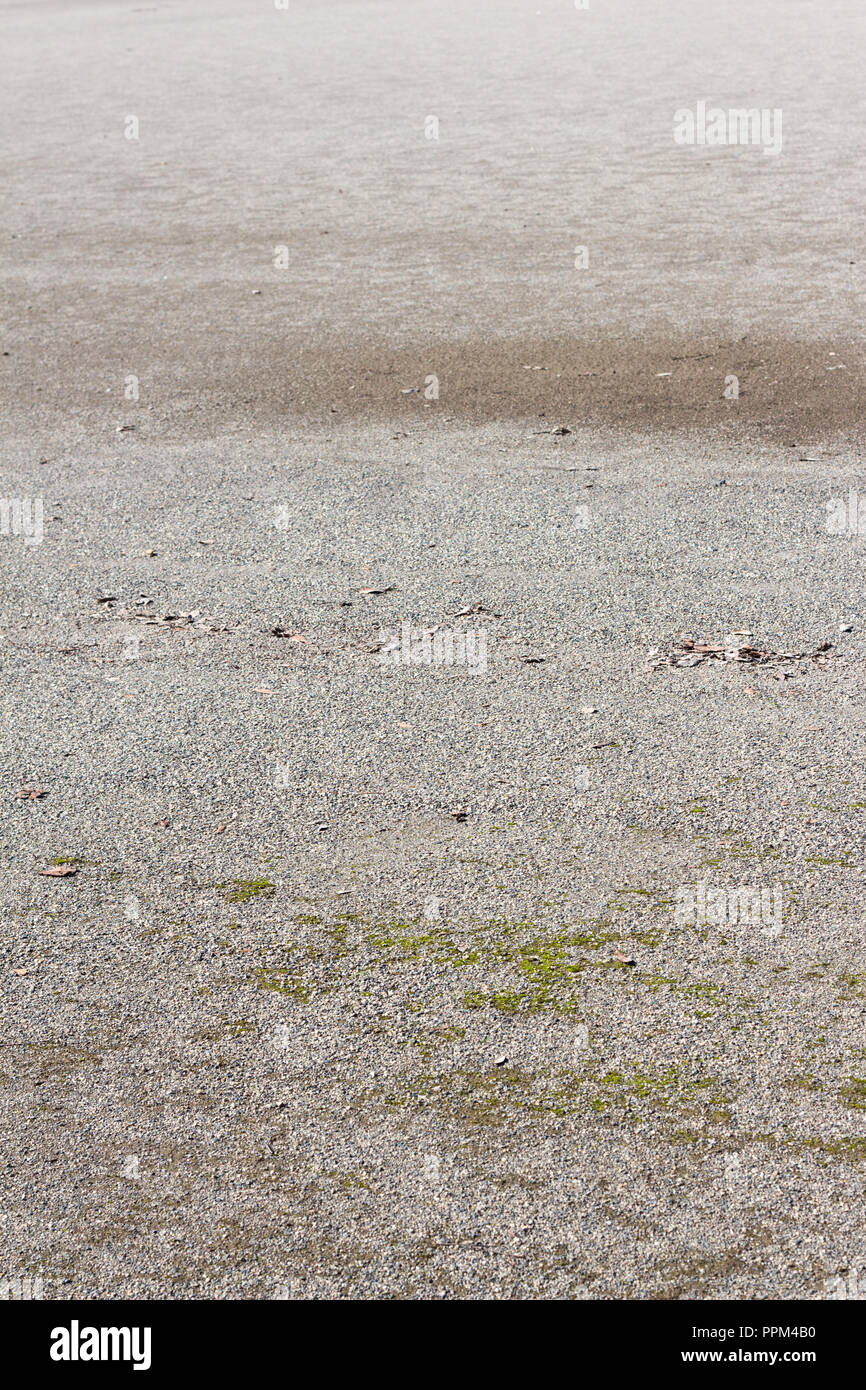 Pebbles field hi-res stock photography and images - Alamy