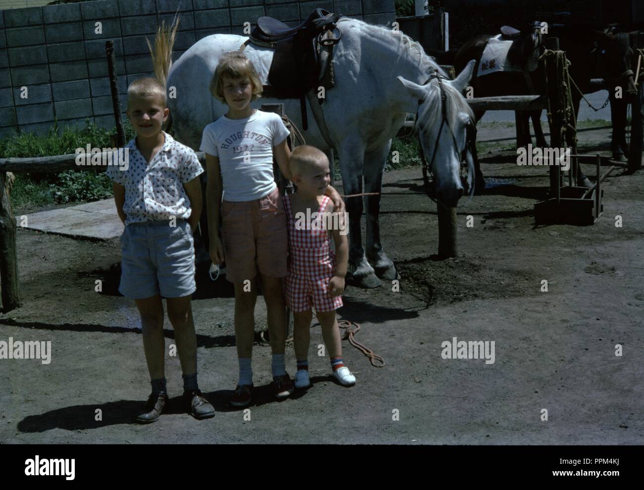 I am me horse hi-res stock photography and images - Alamy