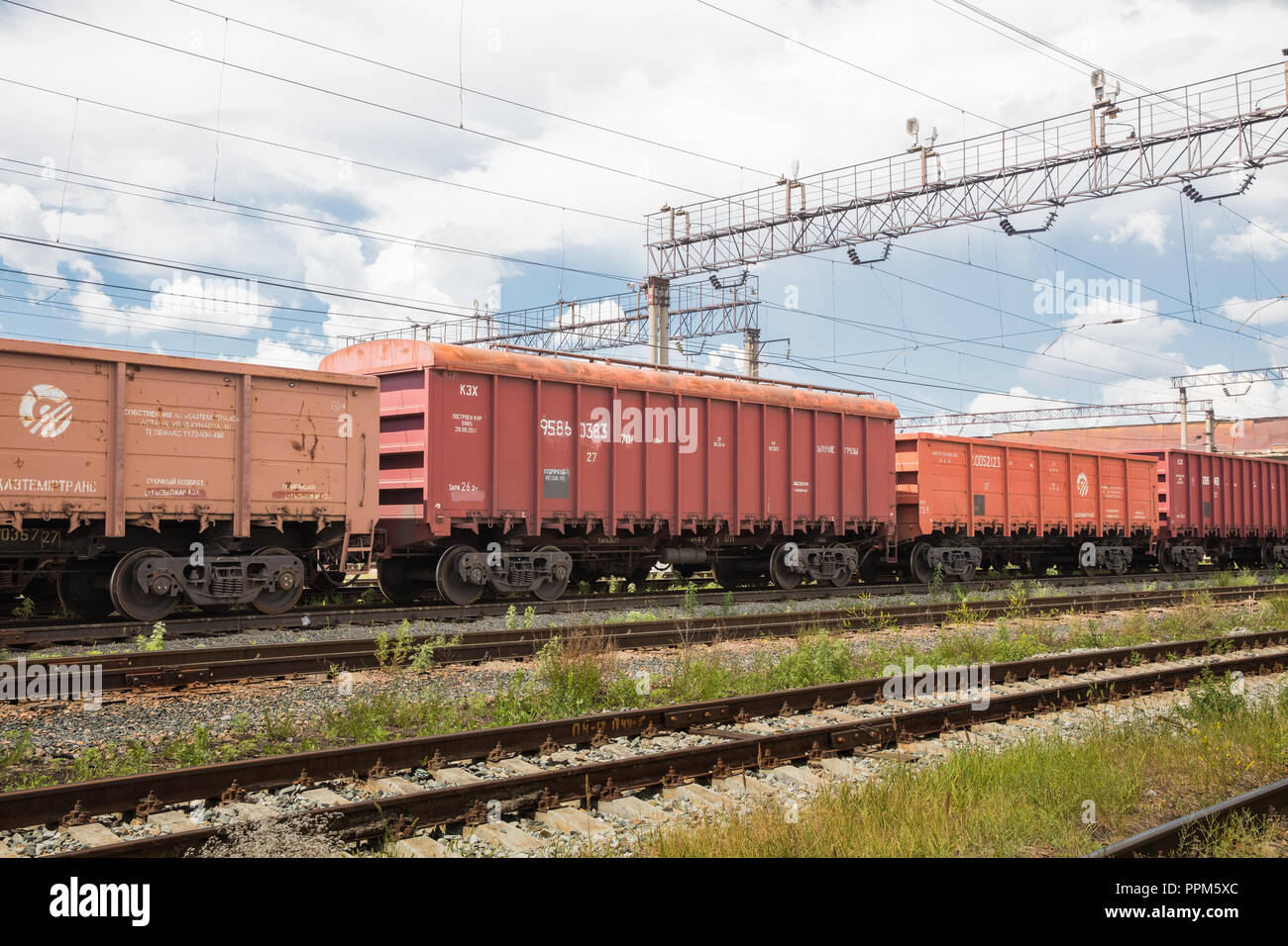 Cargo Train Side View