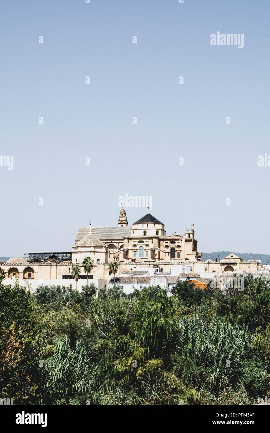 Great mosque and cathedral of cordoba hi-res stock photography and ...