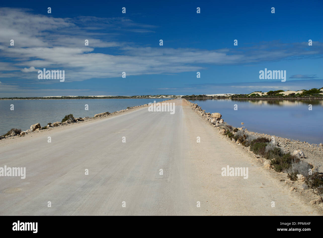 Cactus beach australia hi-res stock photography and images - Alamy