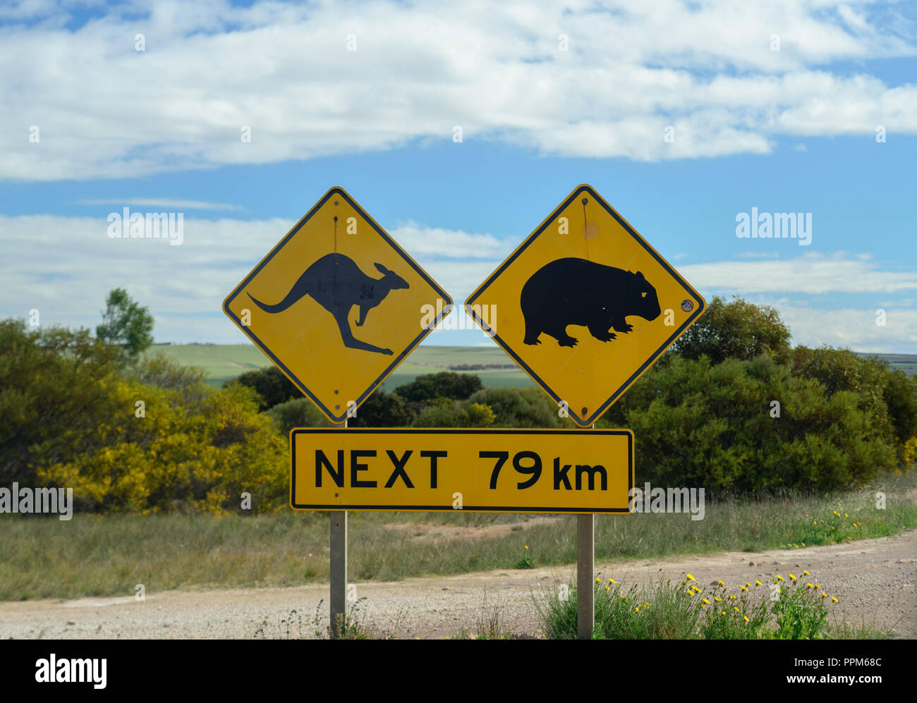 Kangaroos and wombats, road sign in South Australia Stock Photo - Alamy