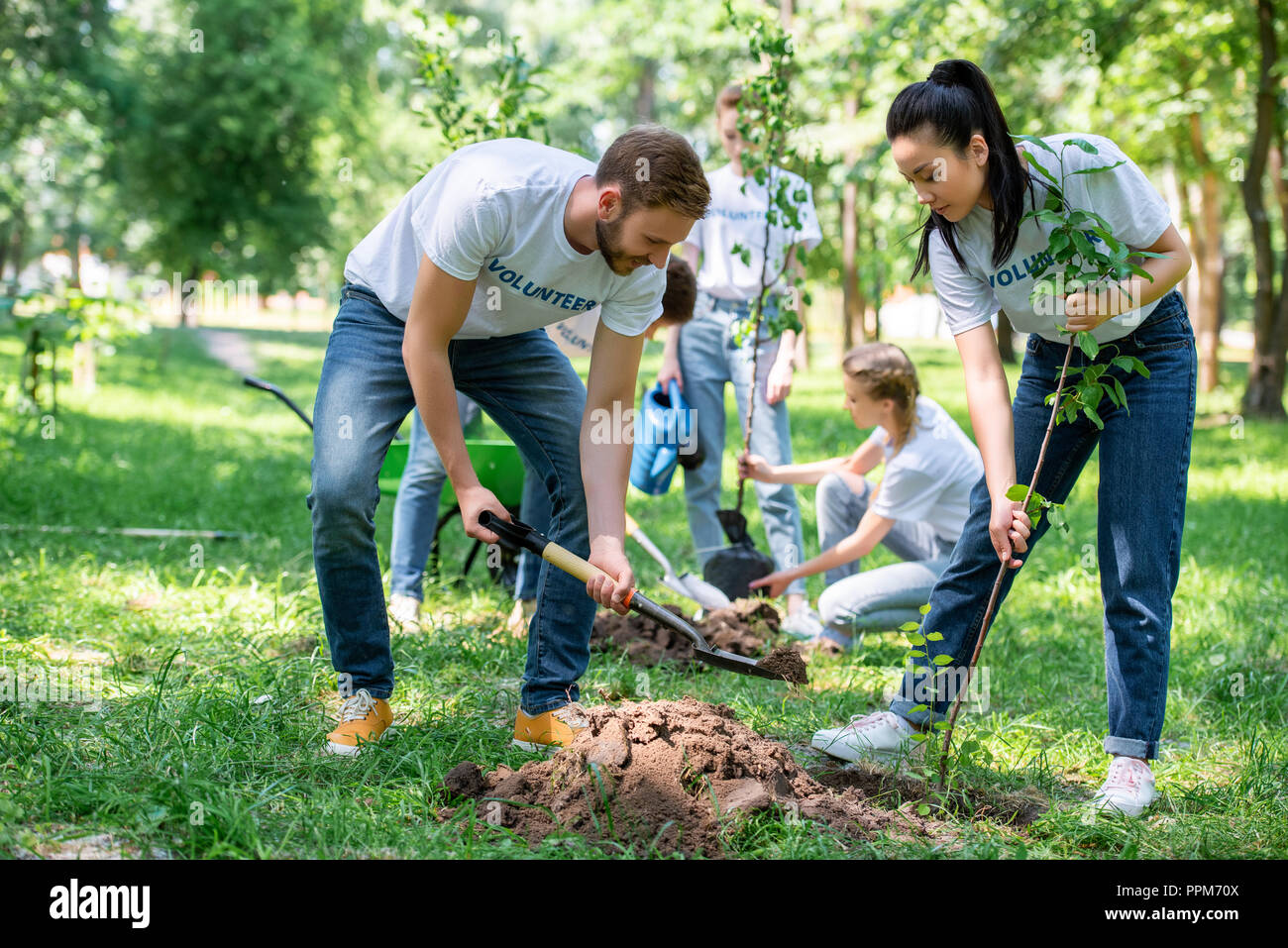 volunteers planting trees in green park together Stock Photo - Alamy