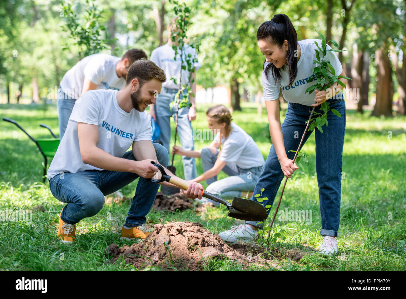 young volunteers planting trees in green park together Stock Photo - Alamy