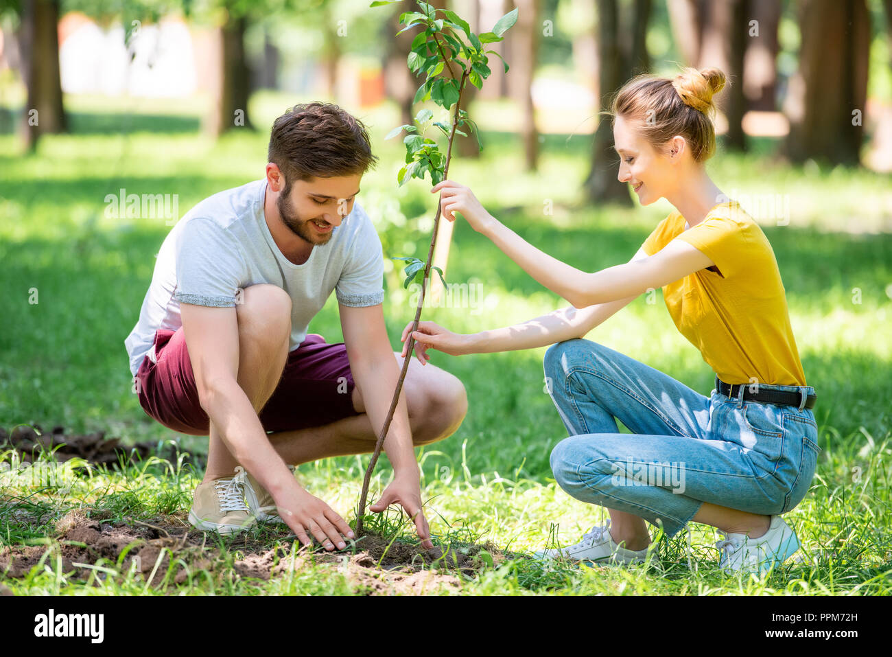 Planting new tree hi-res stock photography and images - Alamy