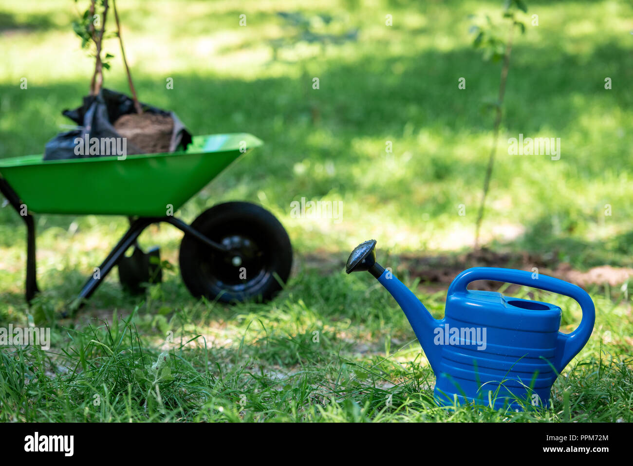 selective focus of watering can in park with new trees in wheelbarrow ...