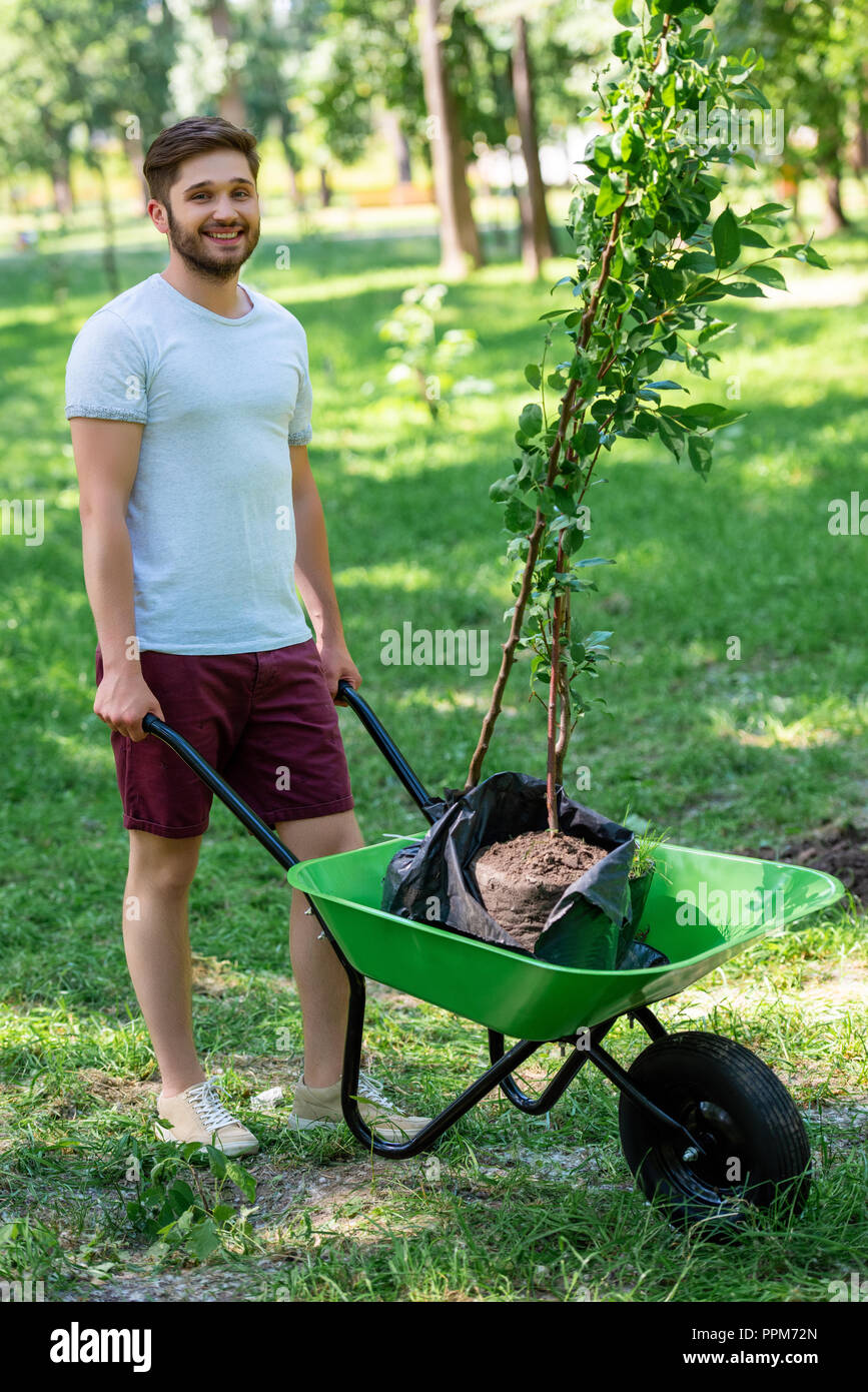 young smiling man with new trees in wheelbarrow Stock Photo - Alamy