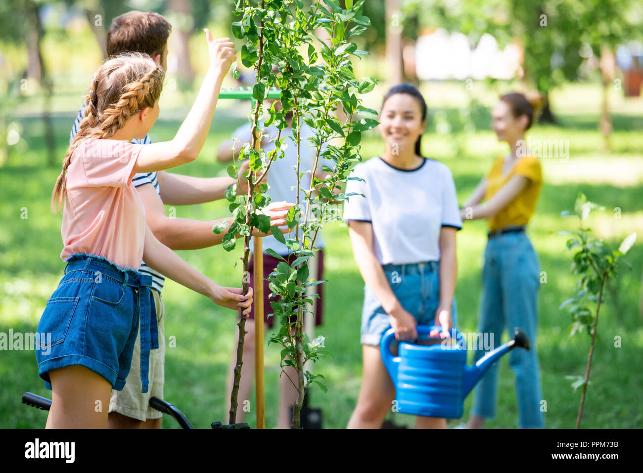 People planting trees hi-res stock photography and images - Alamy