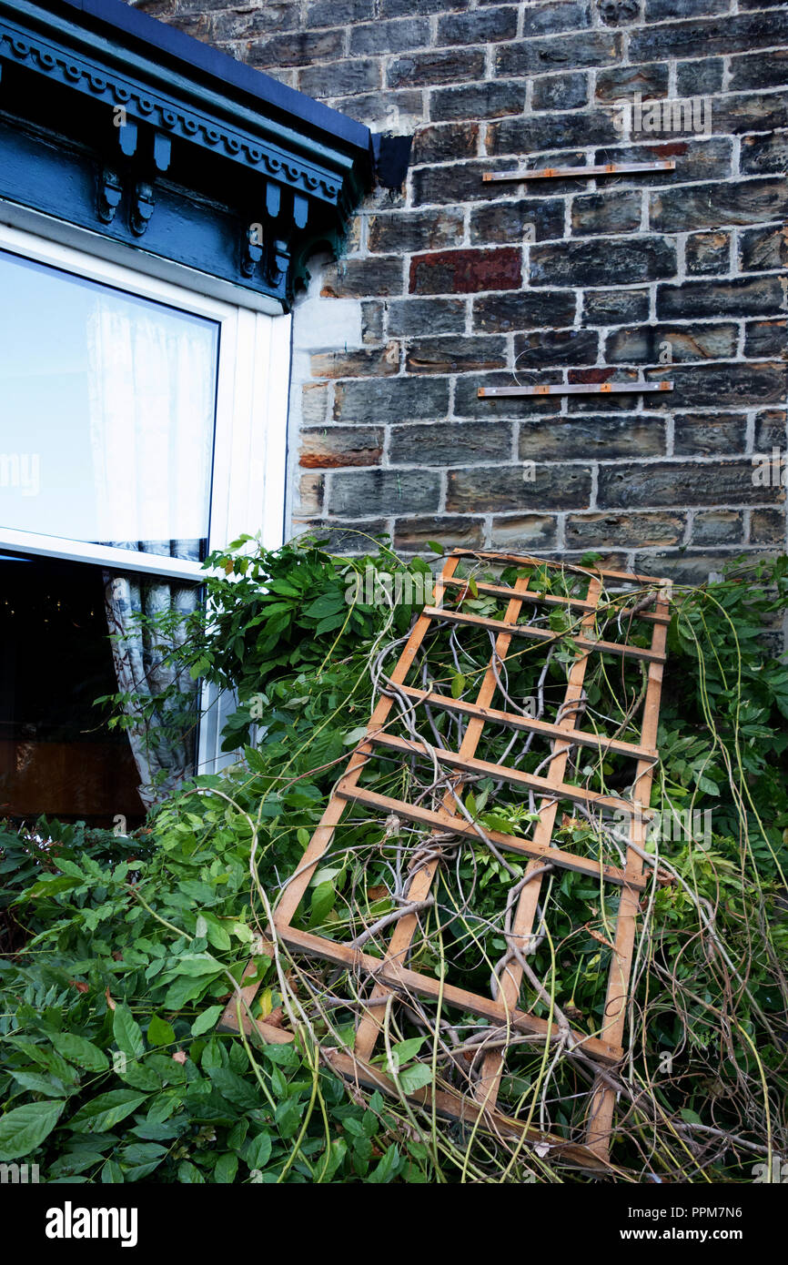 Wind damage at house hi-res stock photography and images - Alamy
