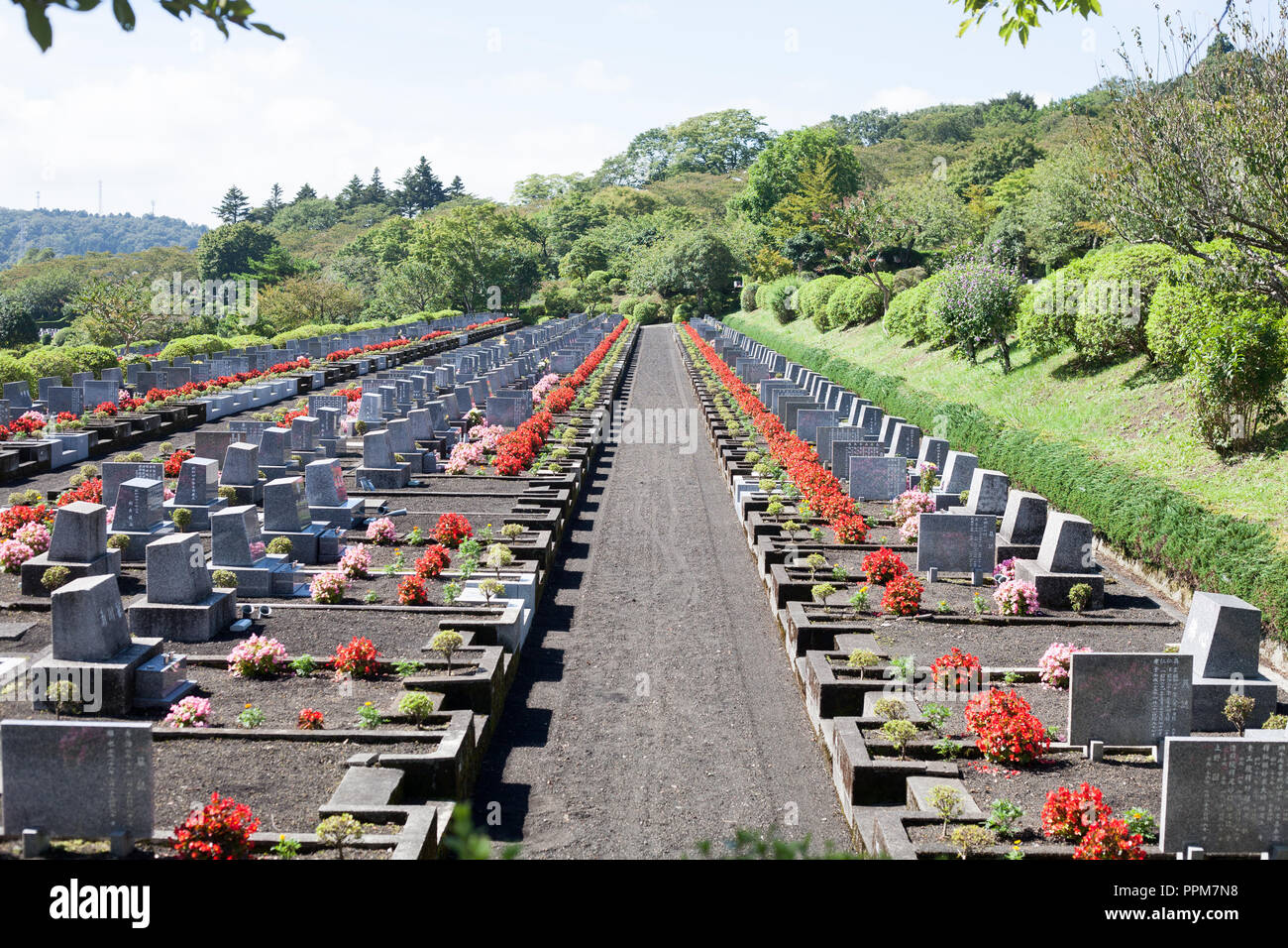 Modern Cemetery Landscapes