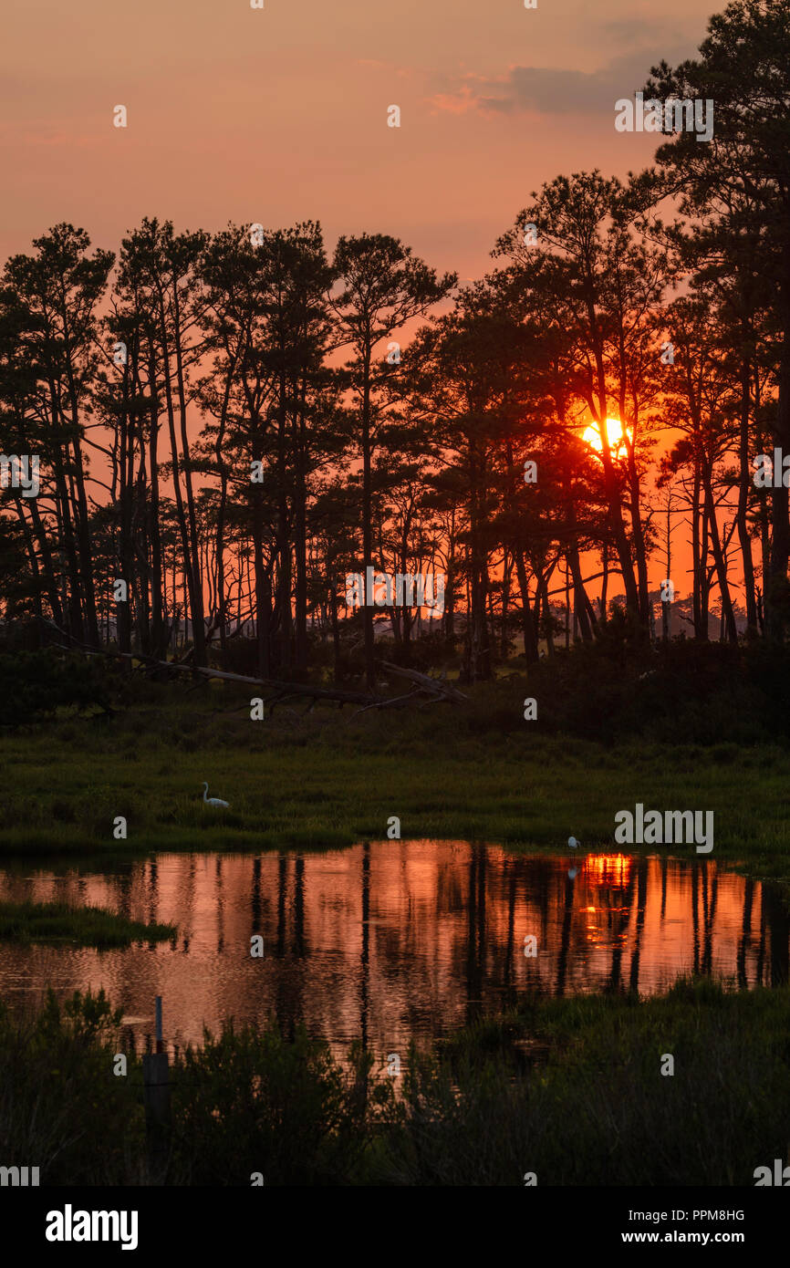 Sunset at Black Duck Marsh, Assateague Island National Seashore ...