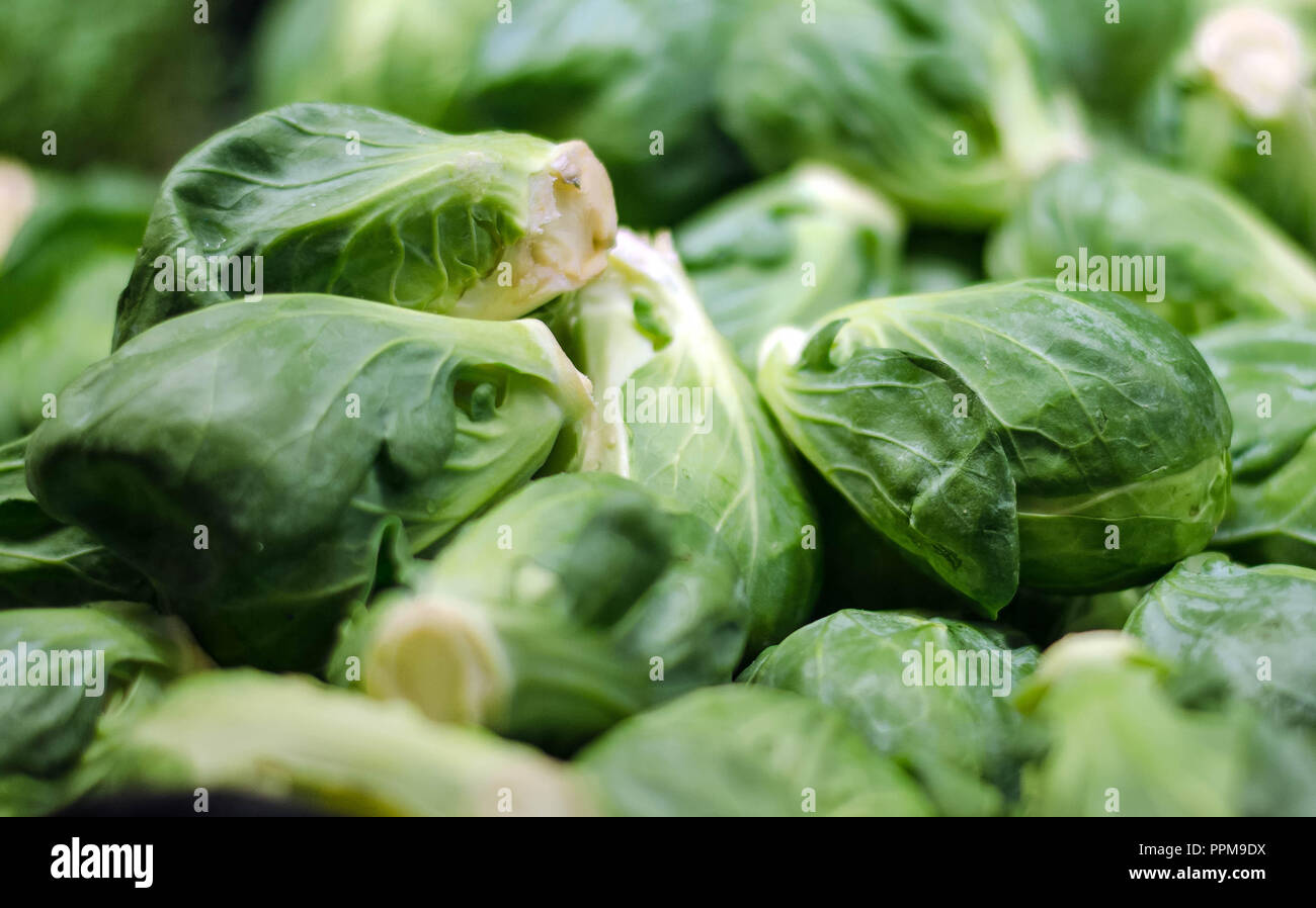 Bulk brussels sprouts hi-res stock photography and images - Alamy