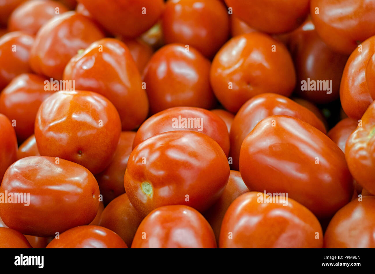 Roma tomoatoes hi-res stock photography and images - Alamy