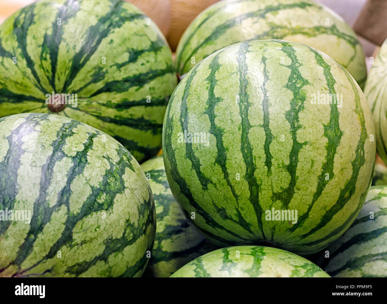 Beautiful watermelons on a store shelf fresh and ready to eat. Grown in ...