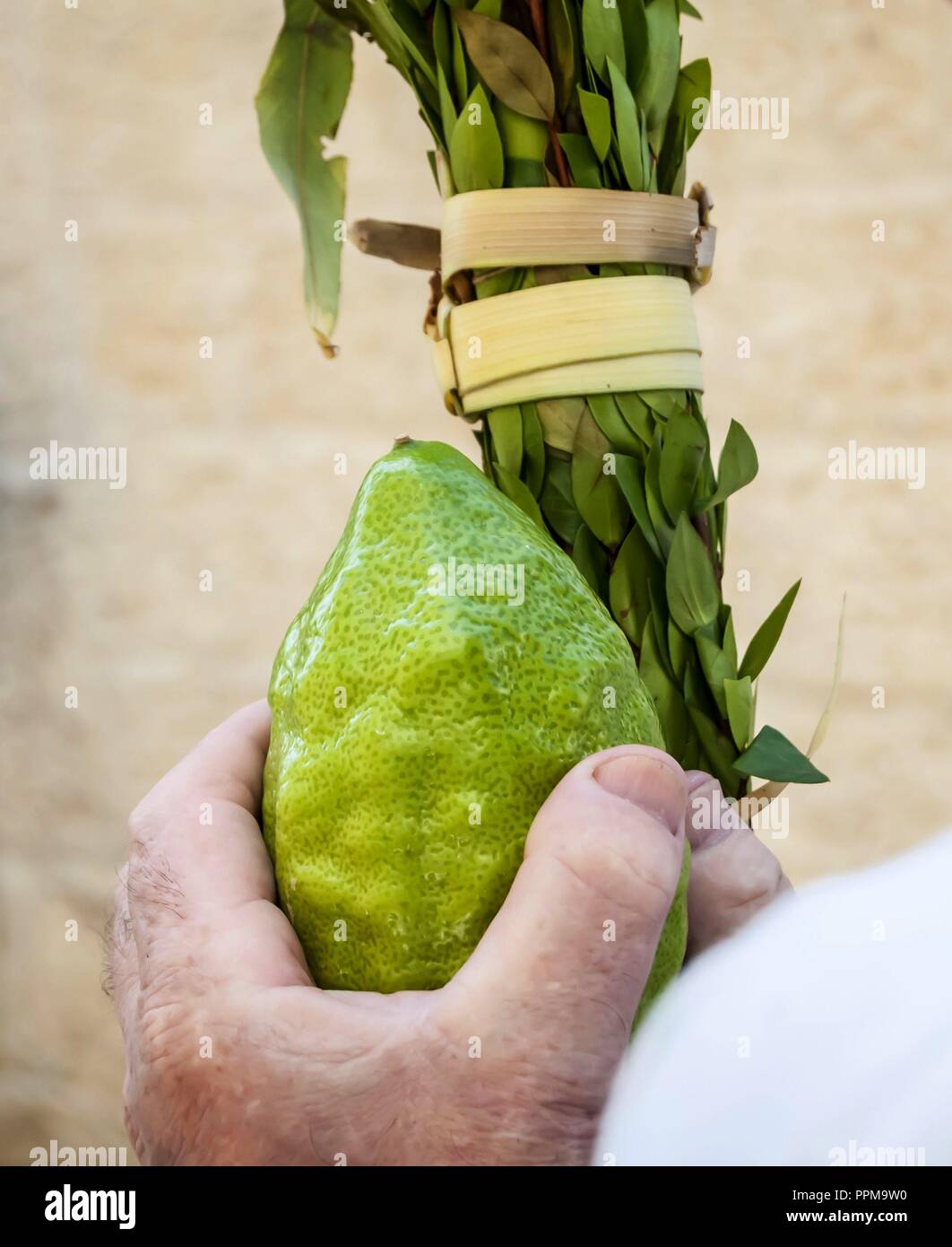 Etrog lulav hi-res stock photography and images - Alamy
