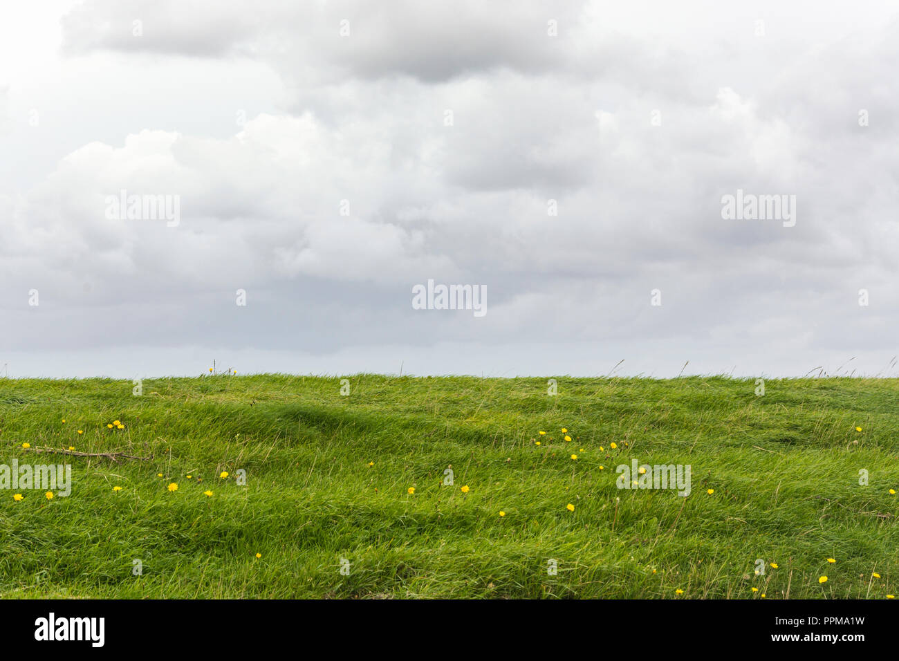 Grass overcast hi-res stock photography and images - Alamy