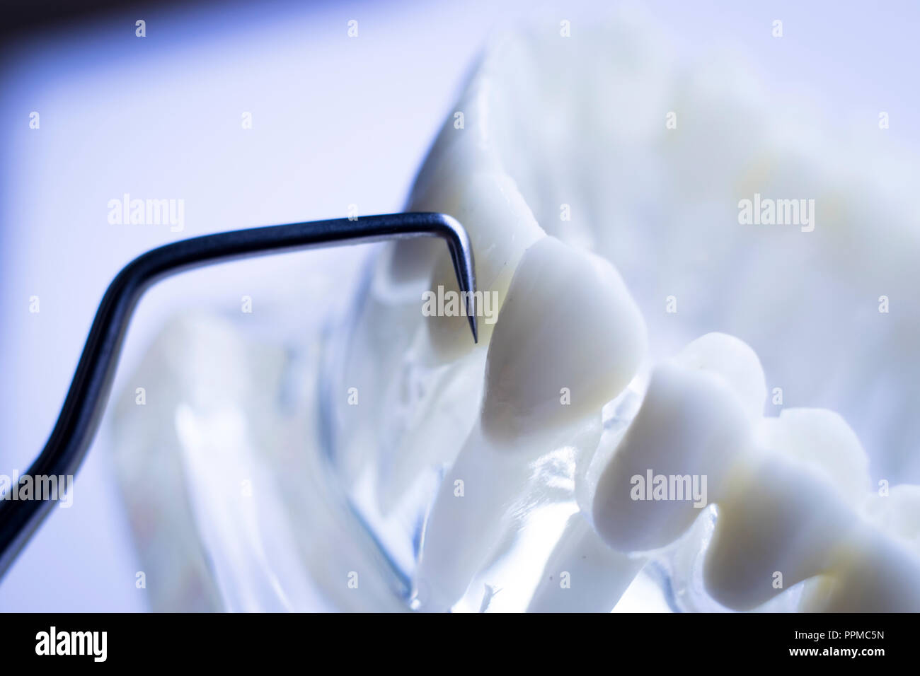 Dentist cleaning teeth with titanium metal tooth pick instrument to ...