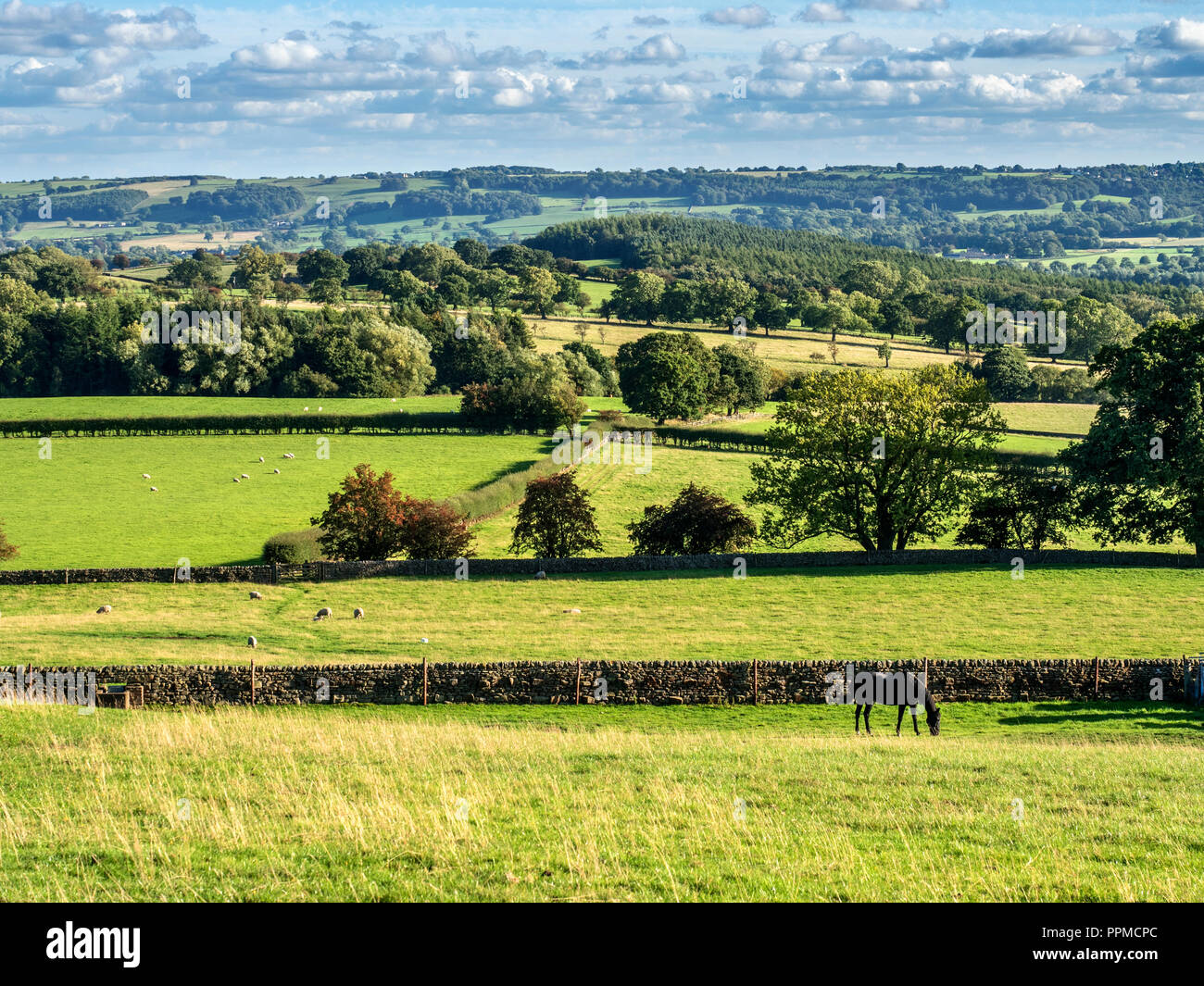 Lower wharfedale hi-res stock photography and images - Alamy