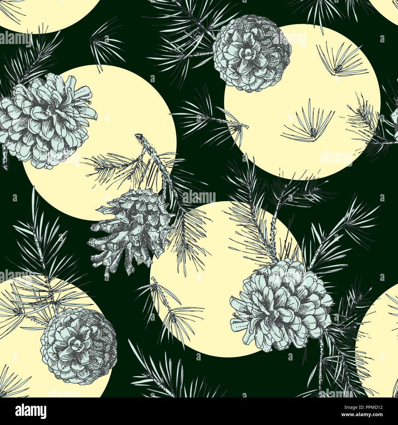 Realistic botanical ink sketch of fir tree branches with pine cone on dark green background ...