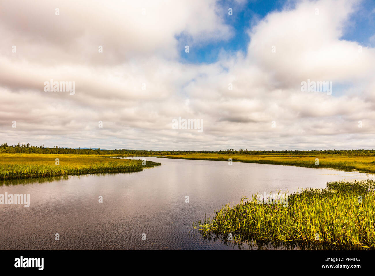 Grand lake stream maine hi-res stock photography and images - Alamy