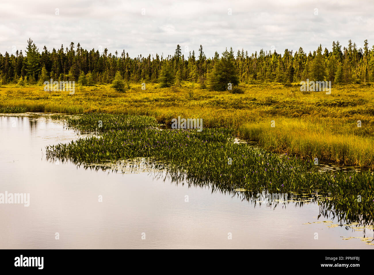 Grand lake stream maine hi-res stock photography and images - Alamy