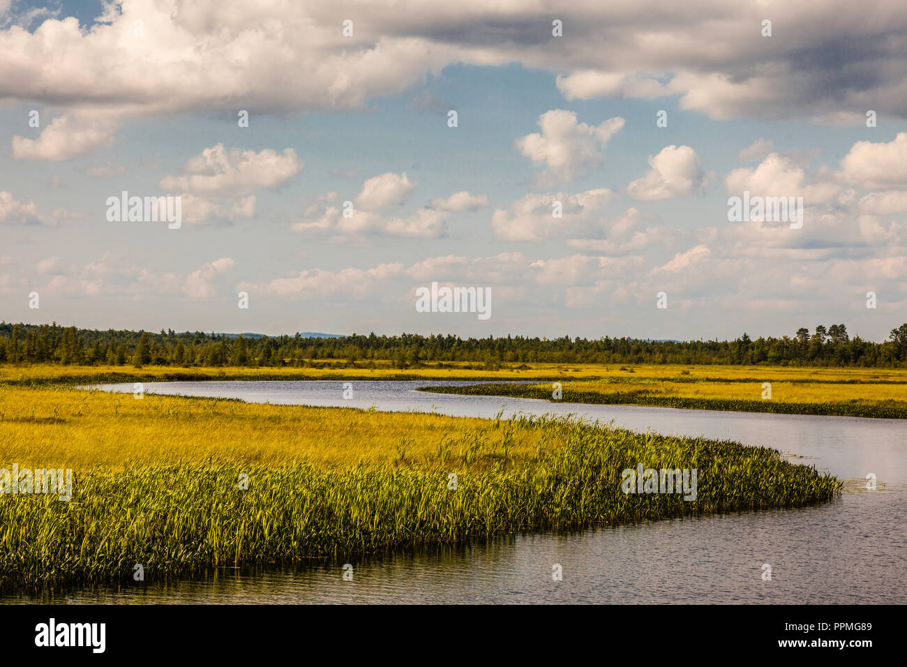 Grand lake stream maine hi-res stock photography and images - Alamy