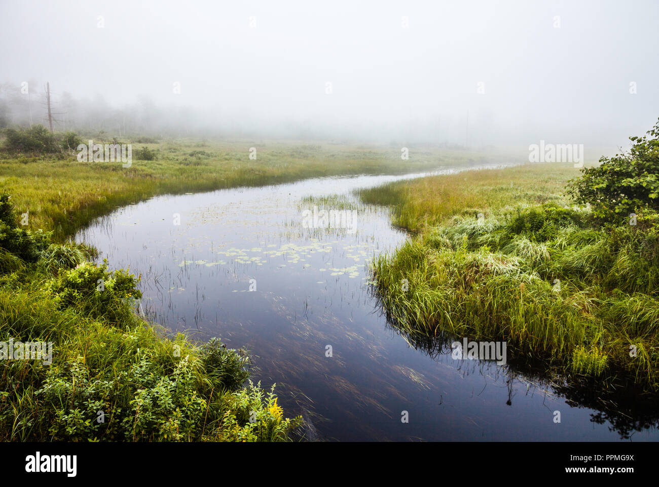 Pembroke maine hi-res stock photography and images - Alamy
