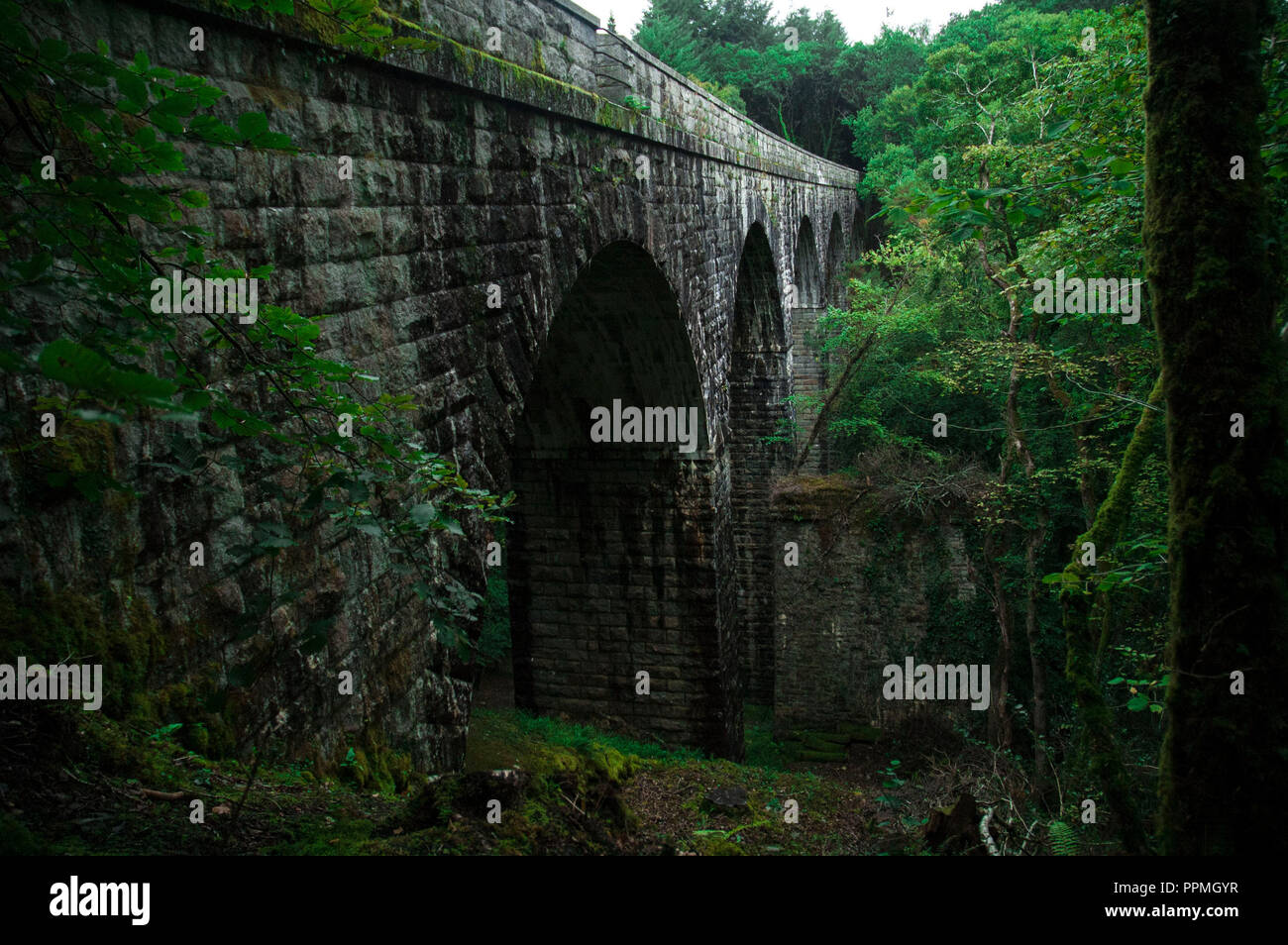 Plym bridge hi-res stock photography and images - Alamy